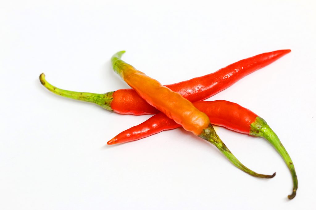 Hot chilli - PixaHive