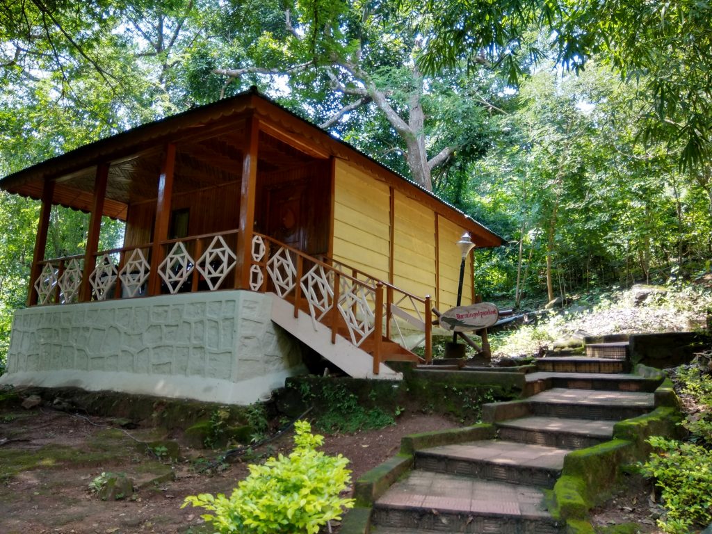 Hut in a Forest - PixaHive