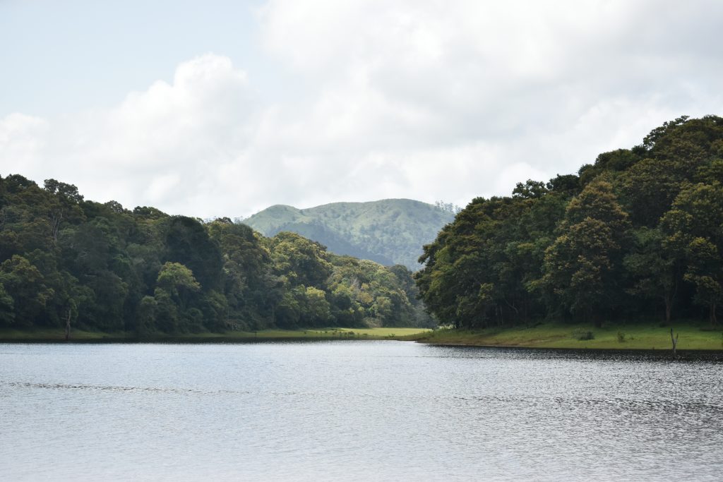 Lake view in Parihar National Park - PixaHive