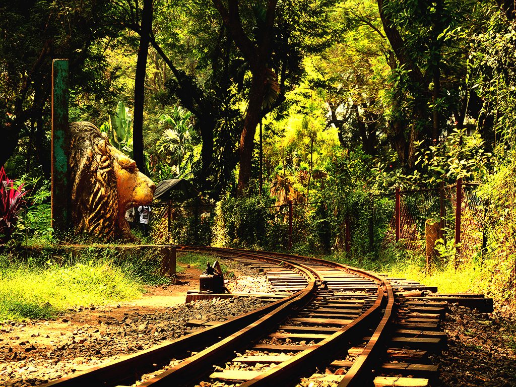 Landmark Train Track - PixaHive