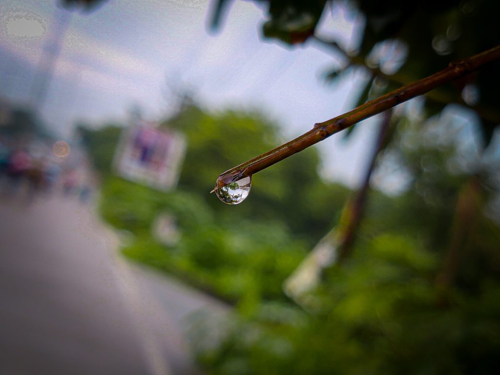 Little rain drop at edge - PixaHive
