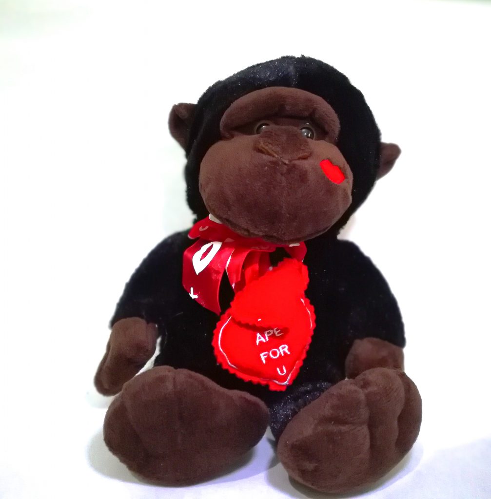 Love Teddy - PixaHive