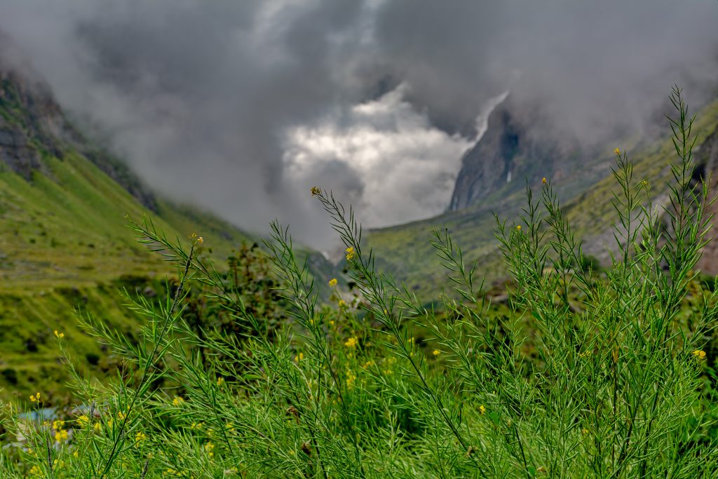 Managaon-Last village of India,Uttarakhand - PixaHive