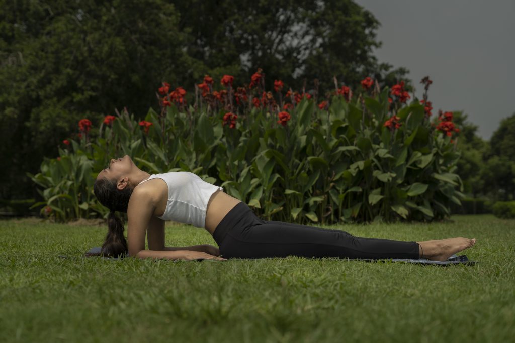 Matsyasana Yoga Pose - PixaHive