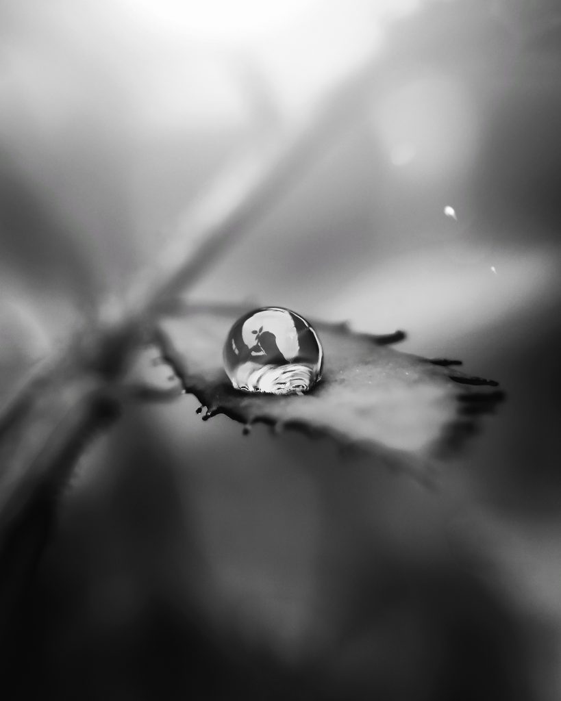 Monochrome Rain drop - PixaHive