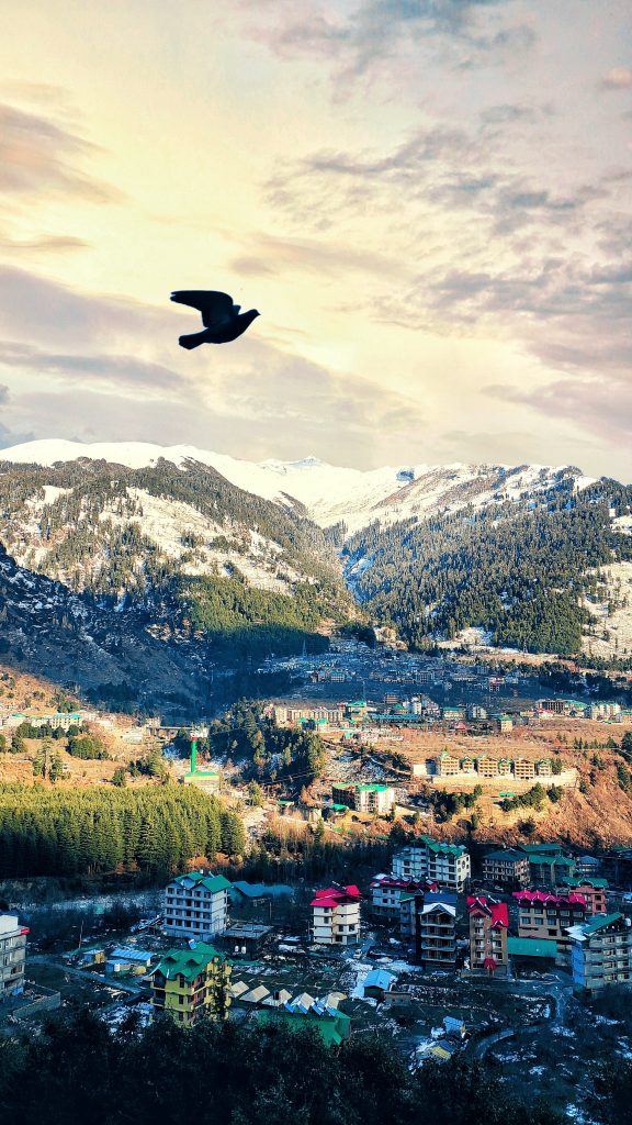 Mountain View - PixaHive