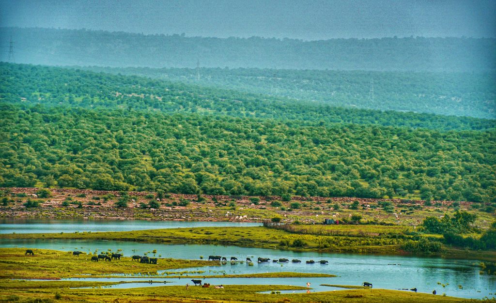 Natural Green Valley - PixaHive