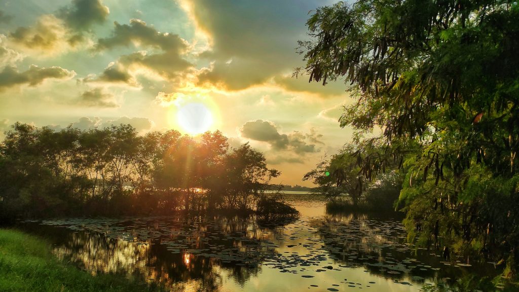 Nature landscape sunset - PixaHive