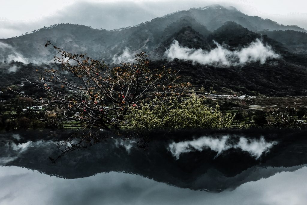 Nature’s eternal beauty - PixaHive