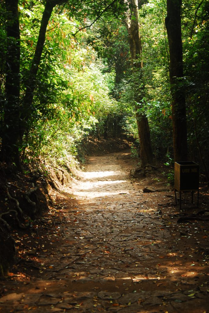 Path of Nature - PixaHive