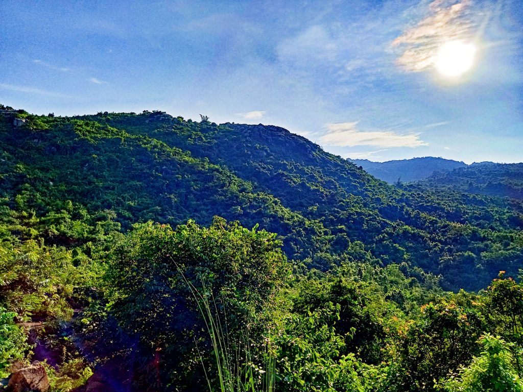 Patratu Valley - PixaHive