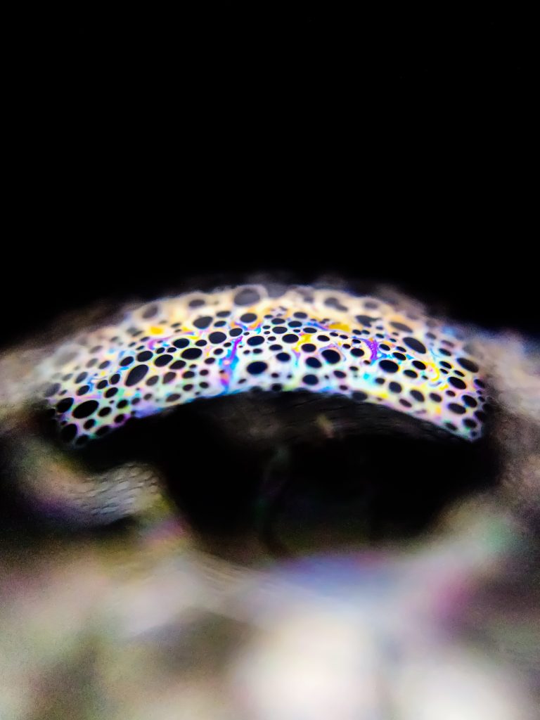 Patterns on soap bubble - PixaHive
