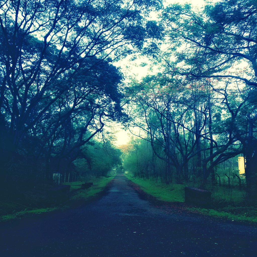 Perfect Road - PixaHive