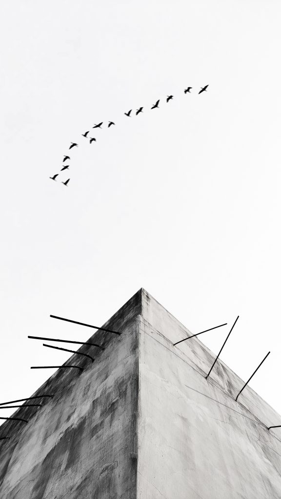 Perspactive Wall - PixaHive