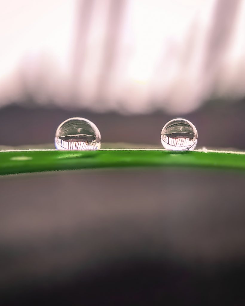 Rain droplets with reflection - PixaHive