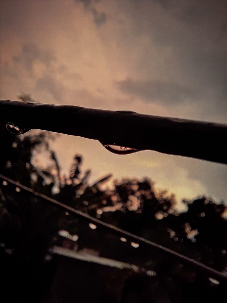 Rain drops on a rod - PixaHive