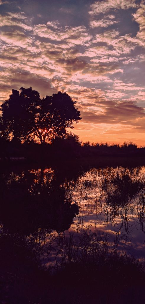 Reflecting Sunset - PixaHive