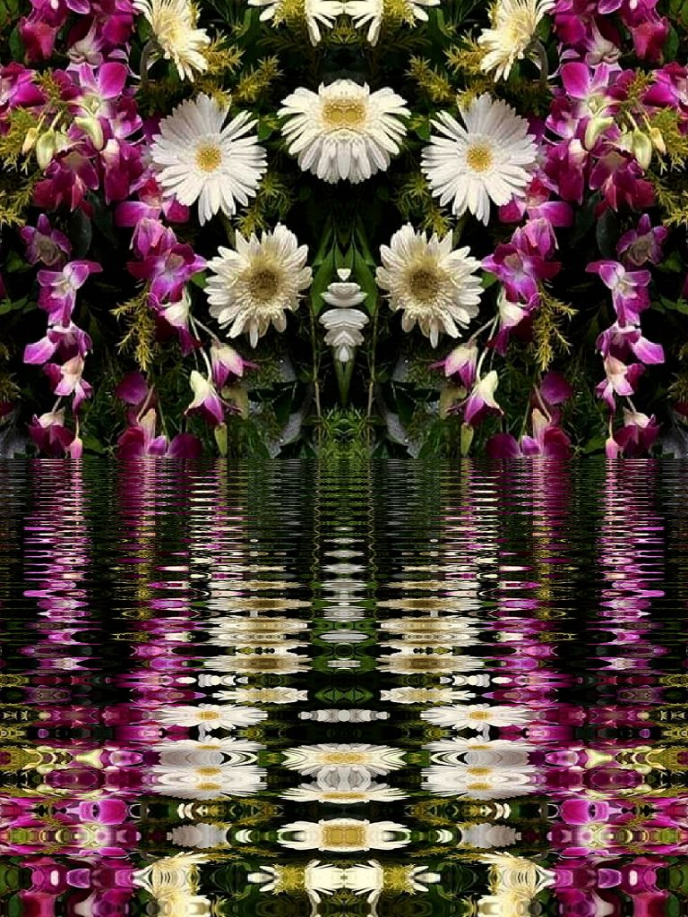 Reflection Of Flowers in the water, Nature Park Mumbai - PixaHive