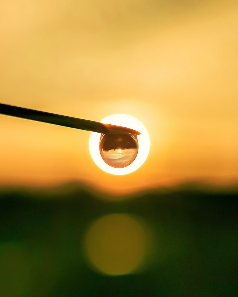 Reflection of sun in a drop - PixaHive