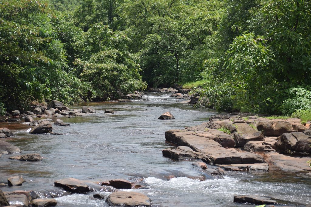 River flowing in a jungle. - PixaHive