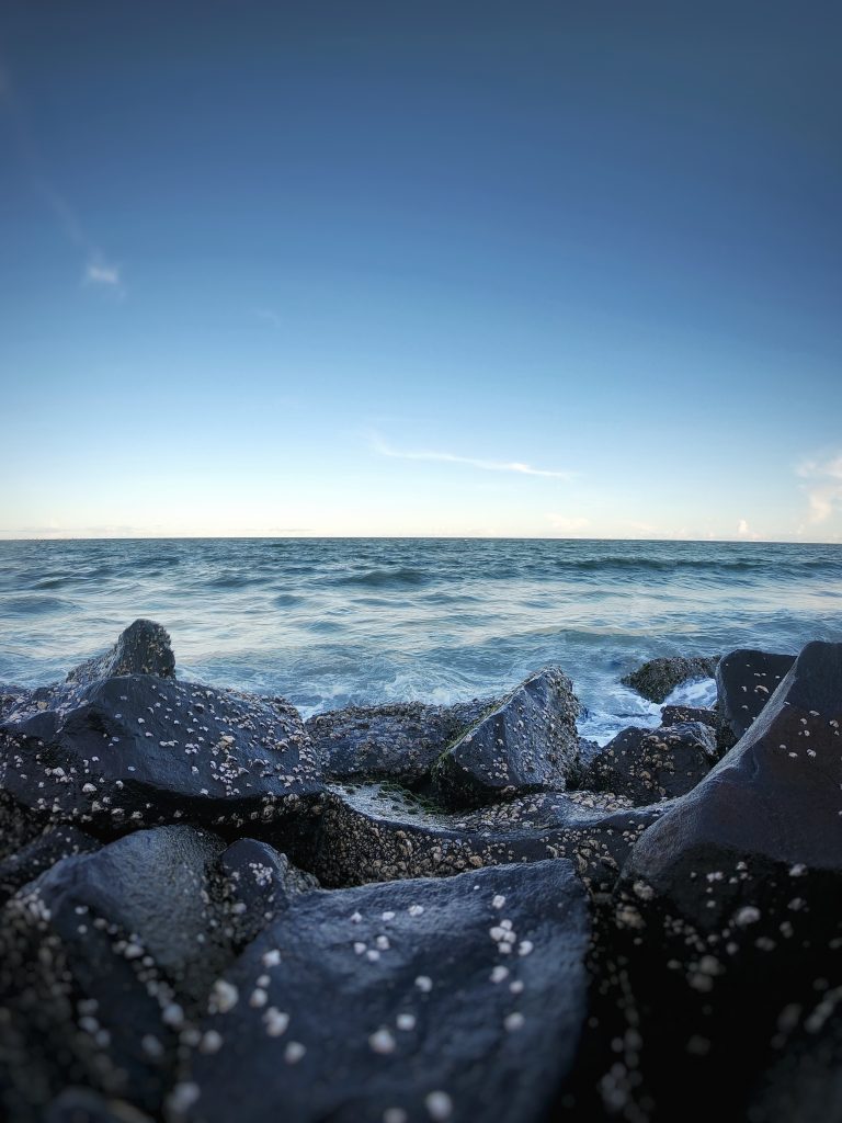Rock Beach on Focus - PixaHive