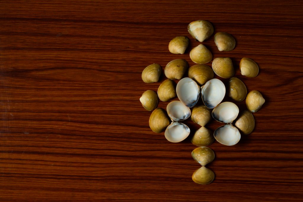 Seashell on the table - PixaHive