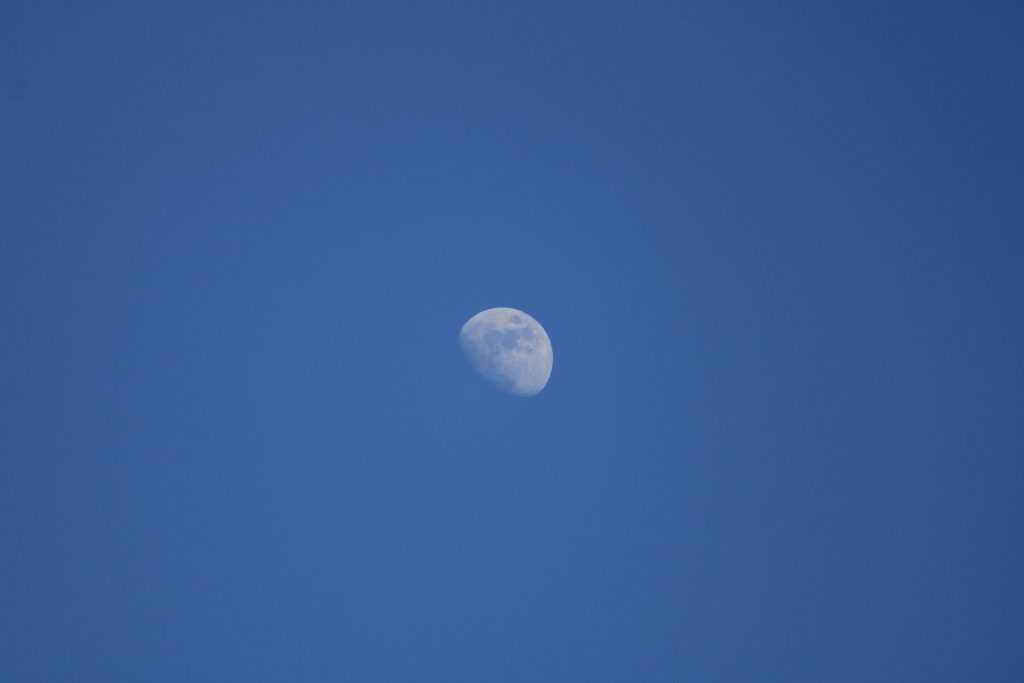 Shady Moon - PixaHive