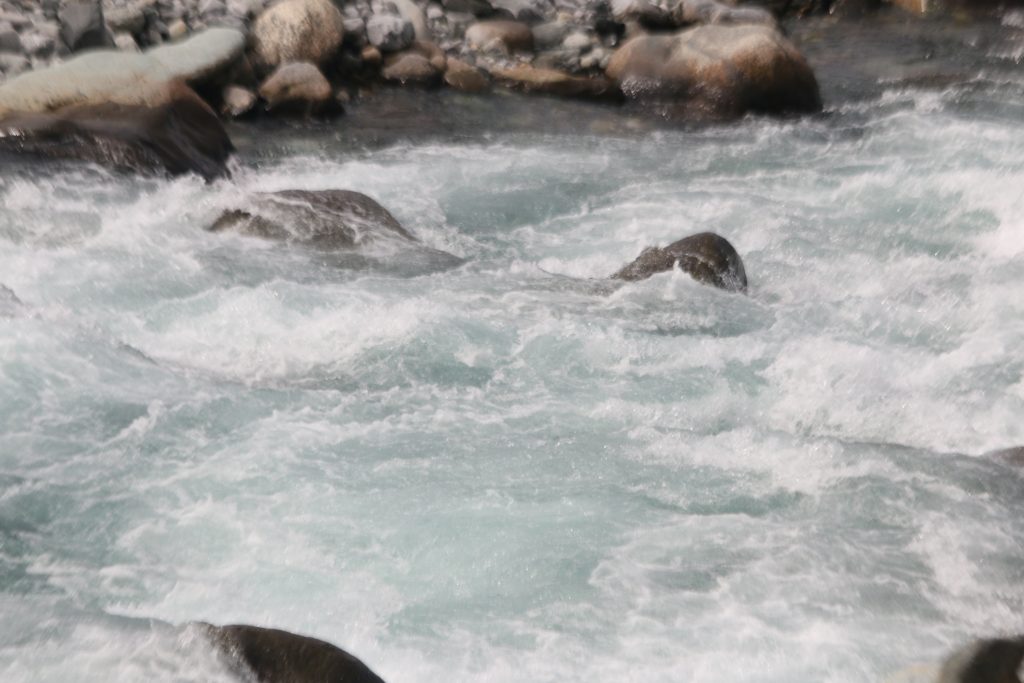 Small River - PixaHive