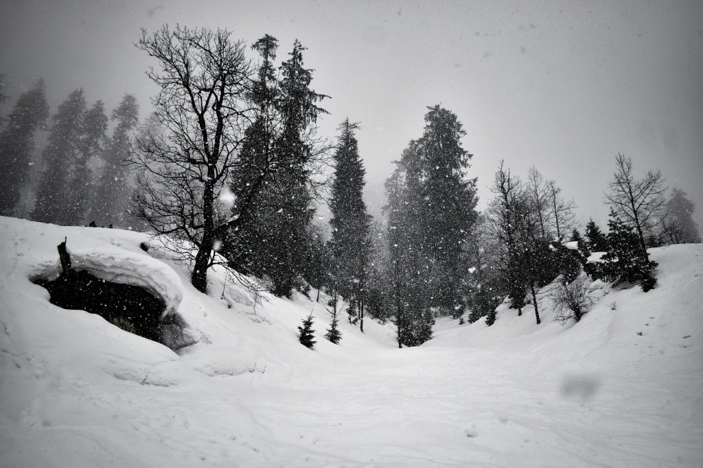 Snowfall in Manali - PixaHive