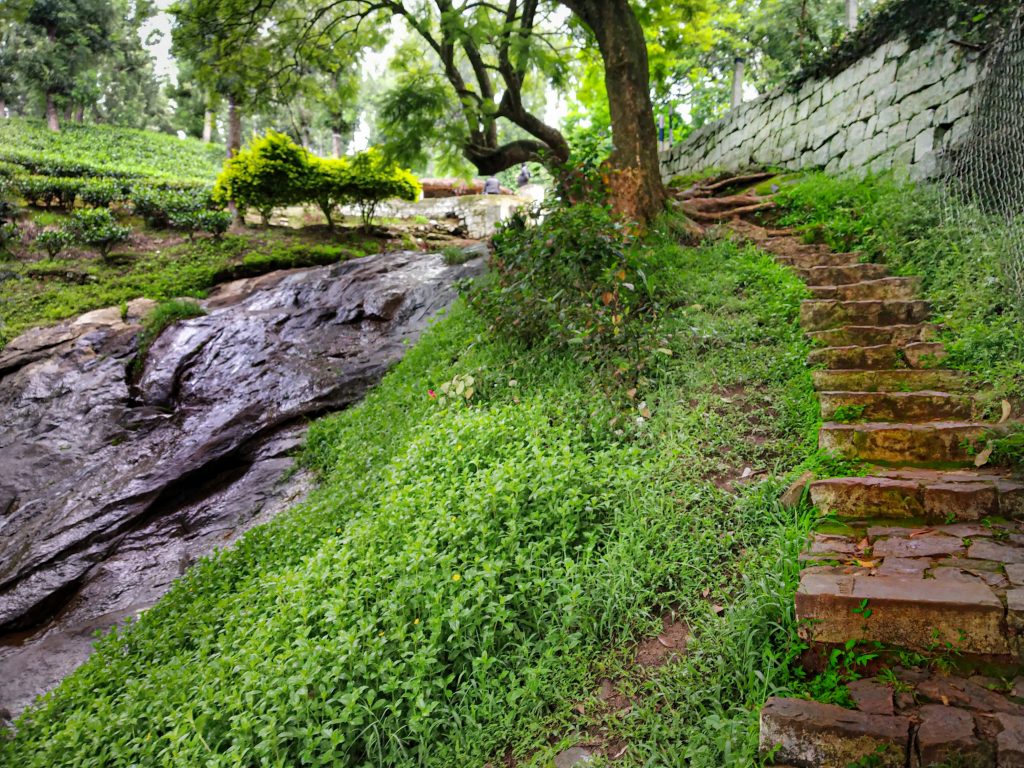 Stone steps in a park - PixaHive