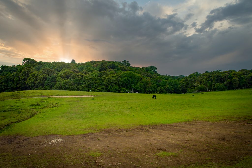 Sun Rays Viewed from the Field - PixaHive