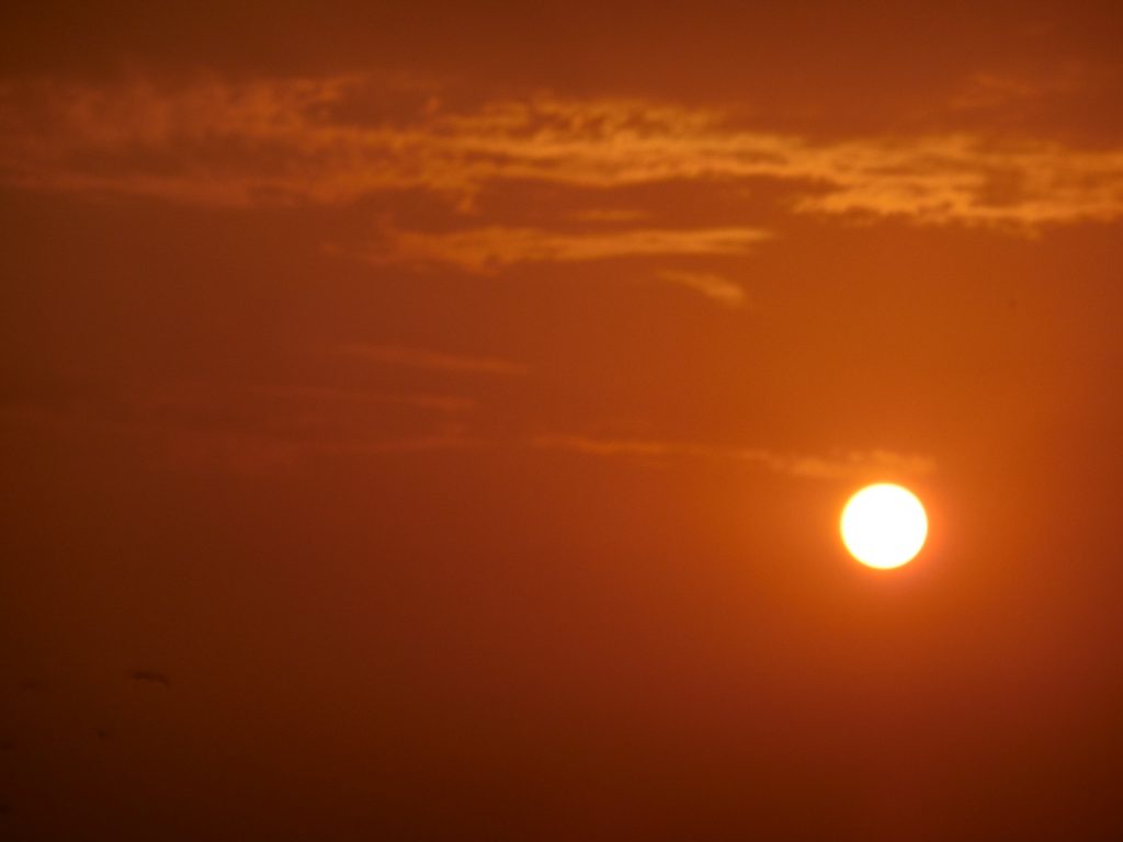 Sun and orange sky during sunset - PixaHive