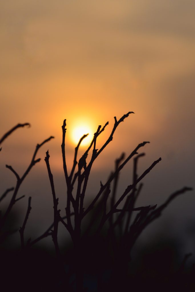 Sun going down - PixaHive