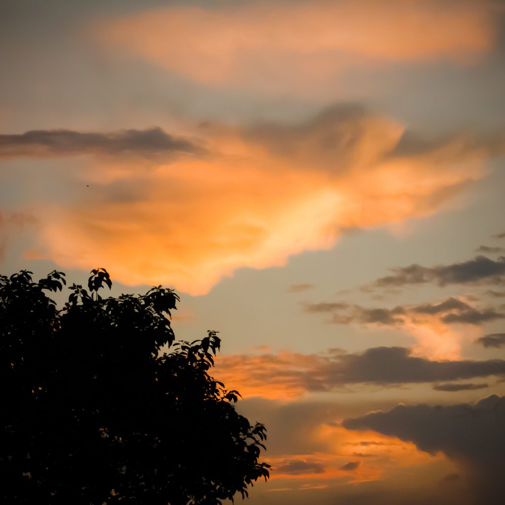 Sunset hues - PixaHive