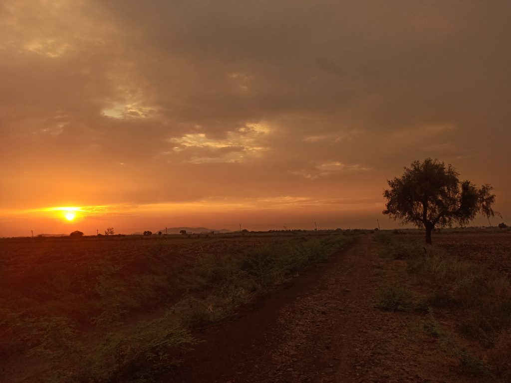 Sunset through fields - PixaHive