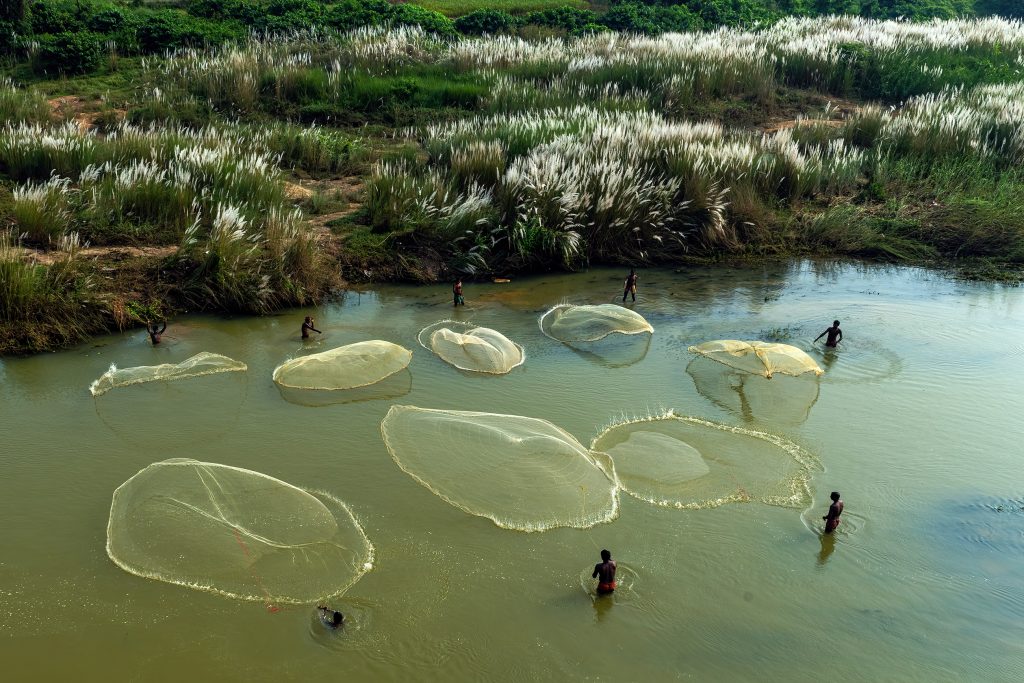 The art of fishing in he river bank - PixaHive
