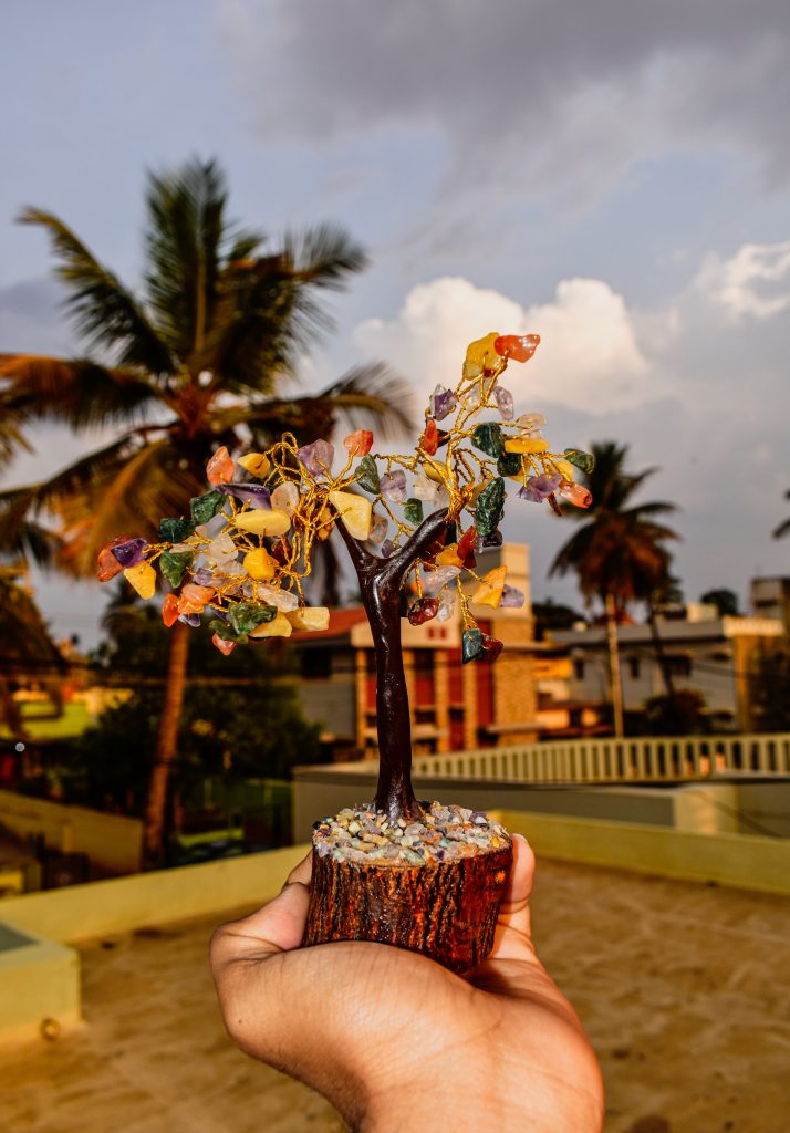 The lucky tree - PixaHive