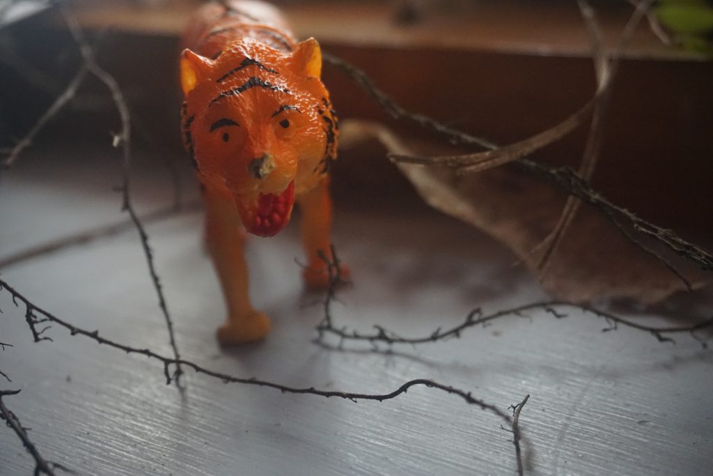 Tiger Toy Display - PixaHive