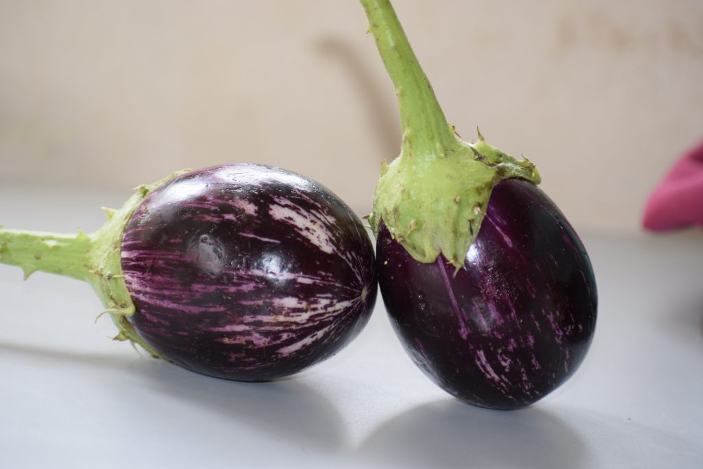 Tiny Brinjals - PixaHive