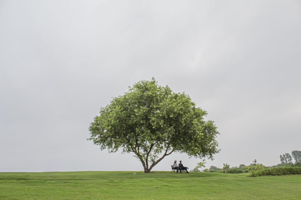 Tree Landscape - PixaHive