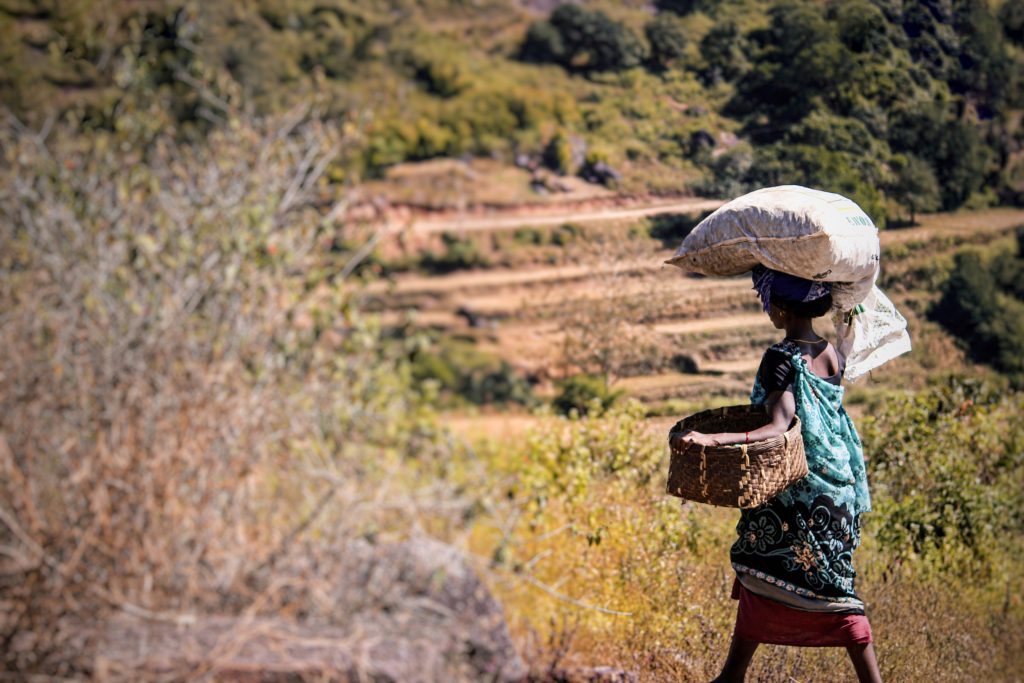 Tribal life - PixaHive