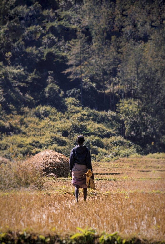 Tribal life - PixaHive