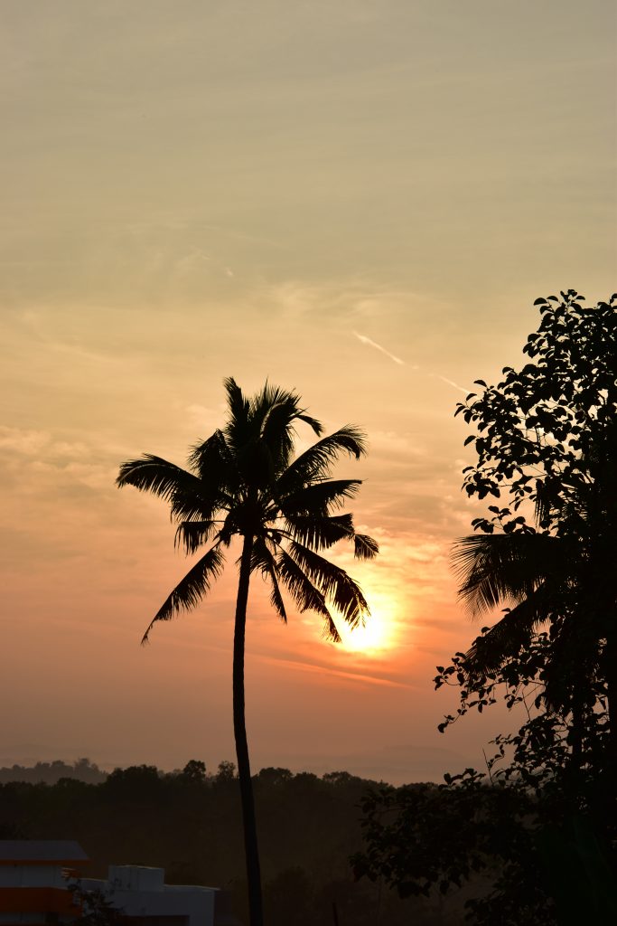 Tropical Sunrise - PixaHive