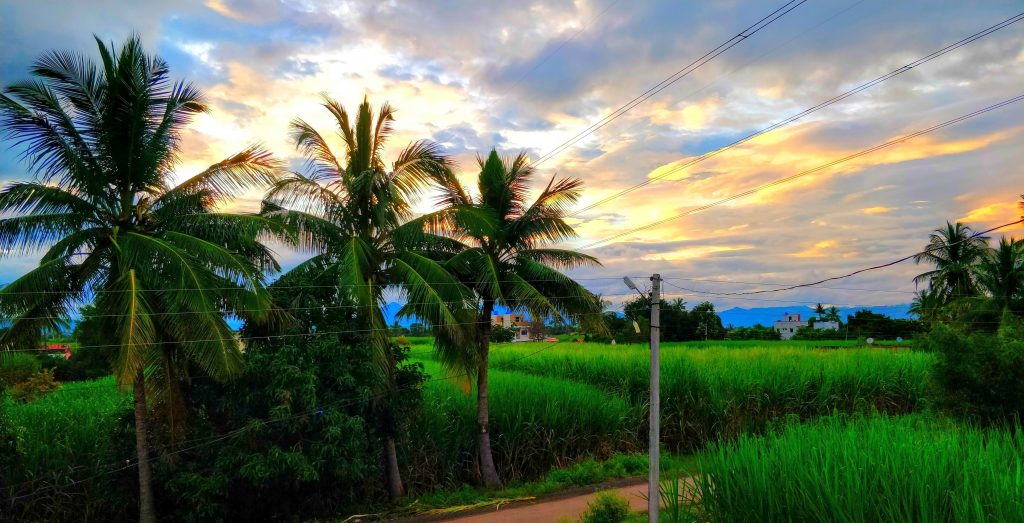 VILLAGE TREES GREENERY SUNSET CLOUDS - PixaHive