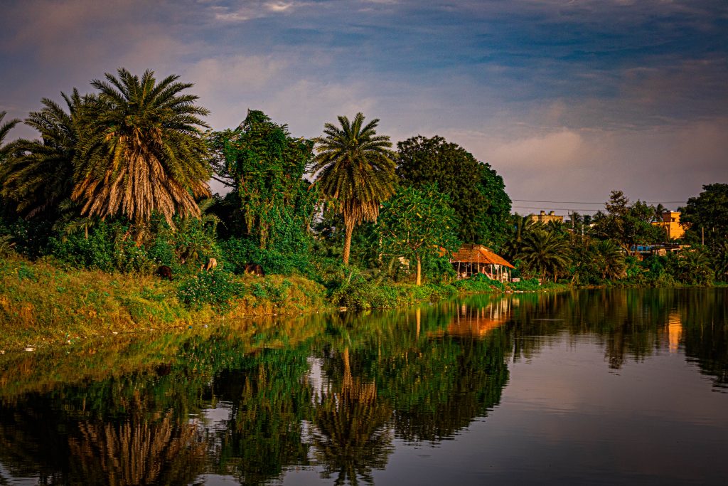 Village scene with pond - PixaHive
