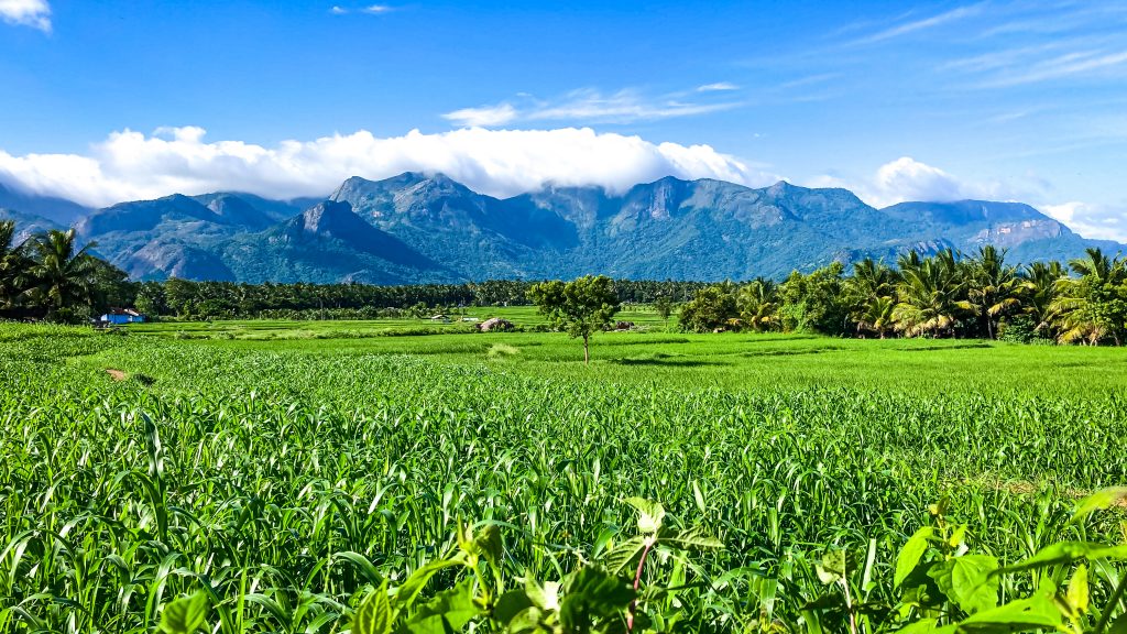 Village view - PixaHive