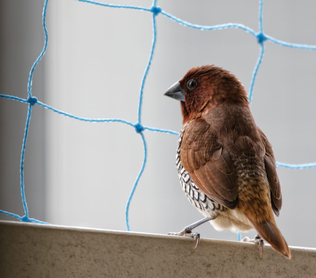 Waiting for someone - PixaHive