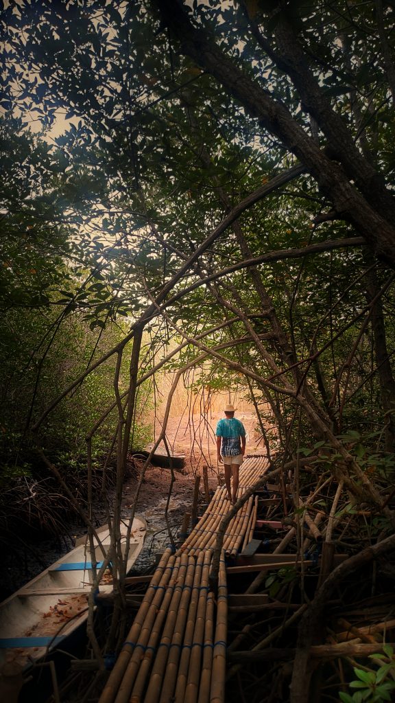 Walk in the woods - PixaHive