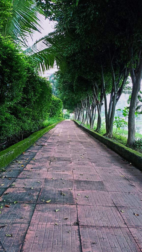 Walking path - PixaHive