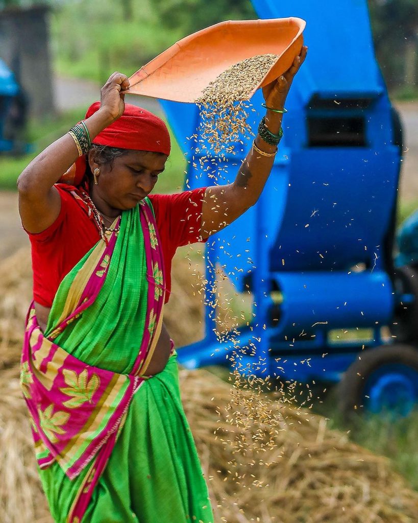 Woman Working in Field - PixaHive